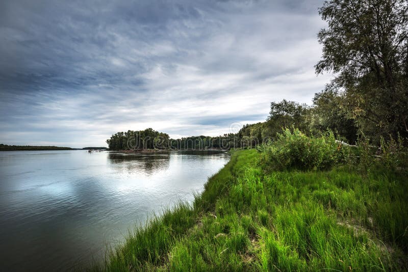 imágenes comunes del Obi - los derechos de la transferencia directa el ...
