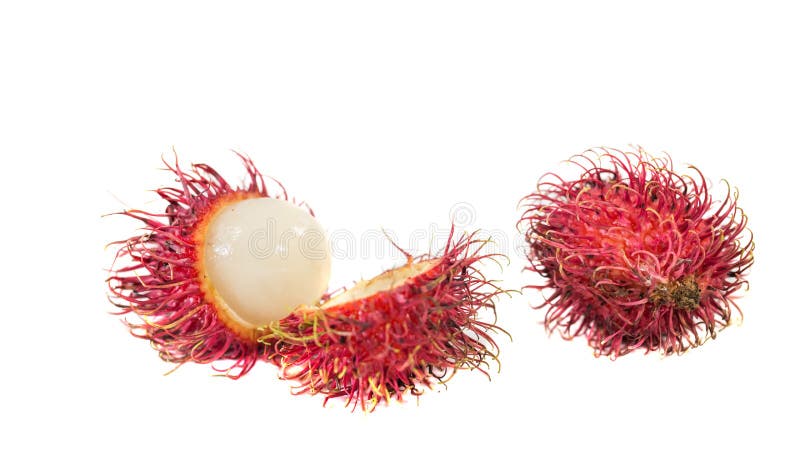 El Rambutan da fruto V imagen de archivo. Imagen de tropical - 31925459