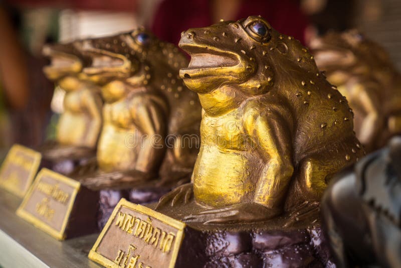 Rey del sapo imagen de archivo. Imagen de madera, sentada - 25162721