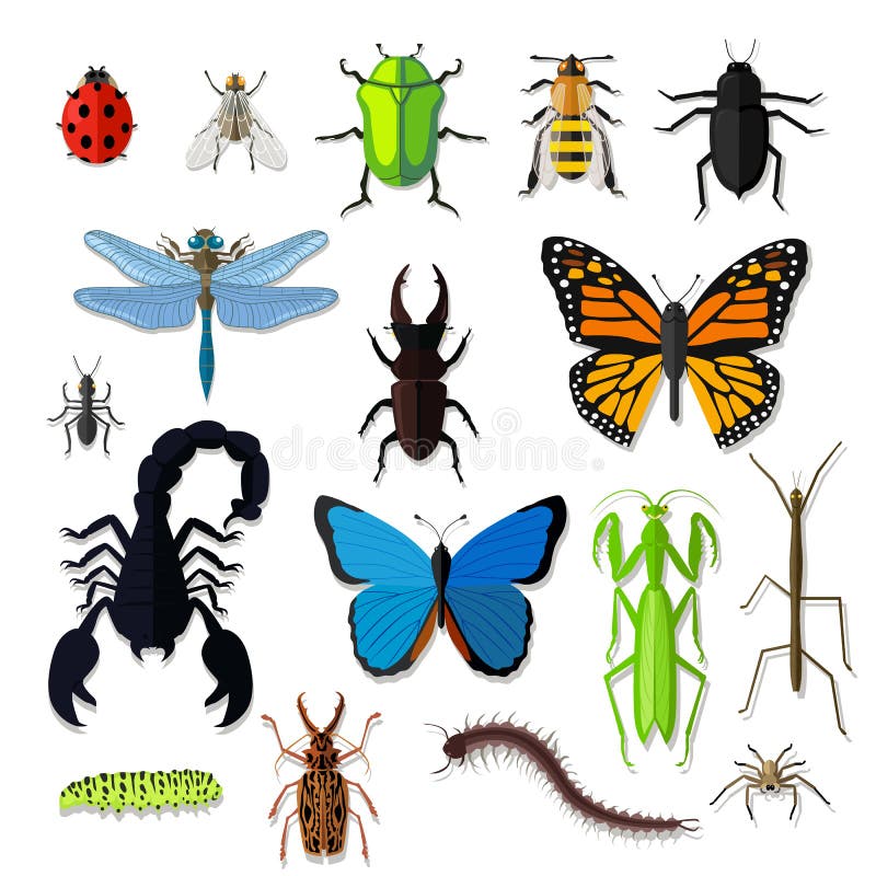 Varios insectos ilustración del vector. Ilustración de silueta - 15312340