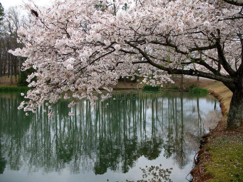 El tacto del cielo foto de archivo. Imagen de blanco - 11607230
