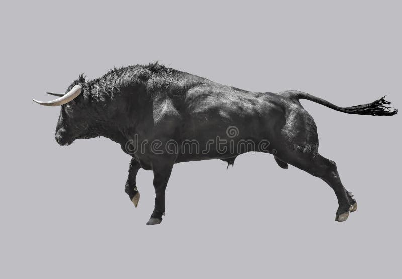 Anna Svirina (Cutworld) - Photographer profile