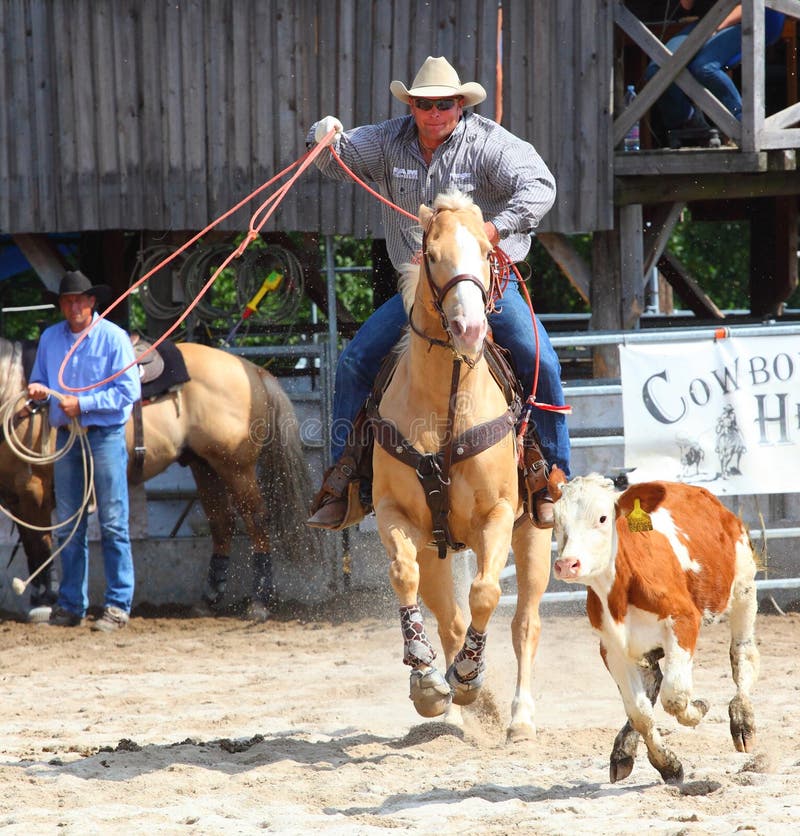 El Vaquero En Una Competencia Roping Del Becerro. Foto editorial ...