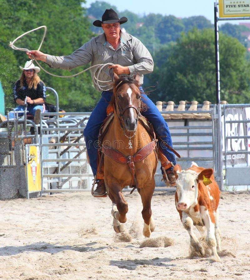 El Vaquero En Una Competencia Roping Del Becerro. Fotografía editorial ...