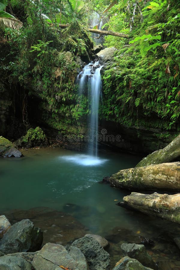 El Yunque Falls and Pool stock photo. Image of trees - 13870544