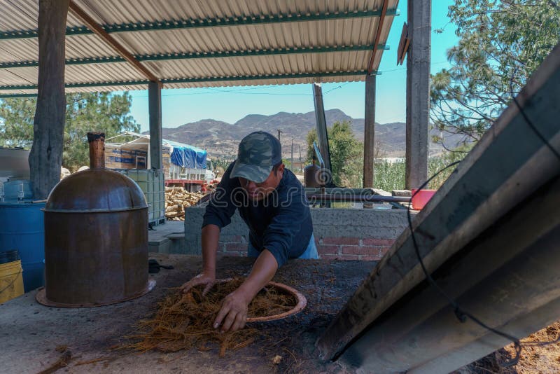 Elaboration of Mezcal in an Artisanal Way Stock Image - Image of fiber ...