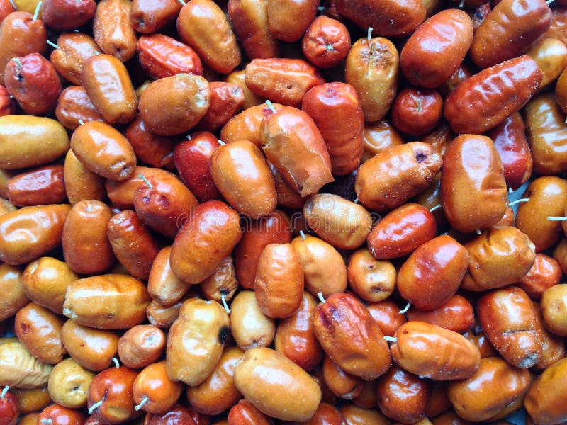 Elaeagnus Angustifolia, Russian Olive Stock Image - Image of national ...