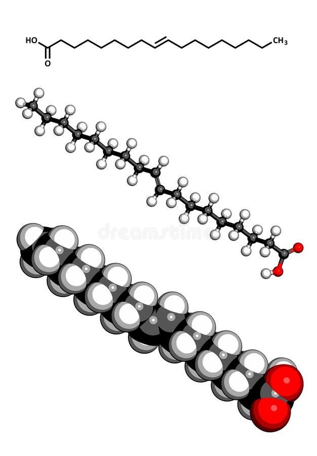 Trans Fat Molecule