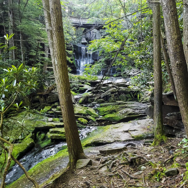 Elakala Falls, Blackwater Falls State Park, West Virginia Stock Image ...