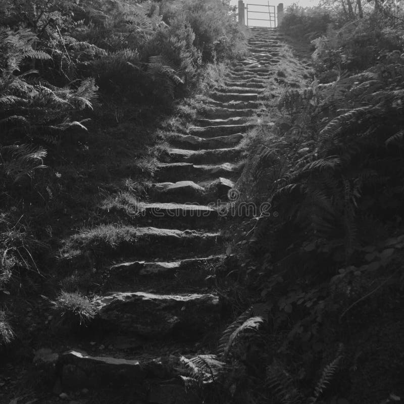 Elan Valley steps stock image. Image of darkness, steps - 232915339