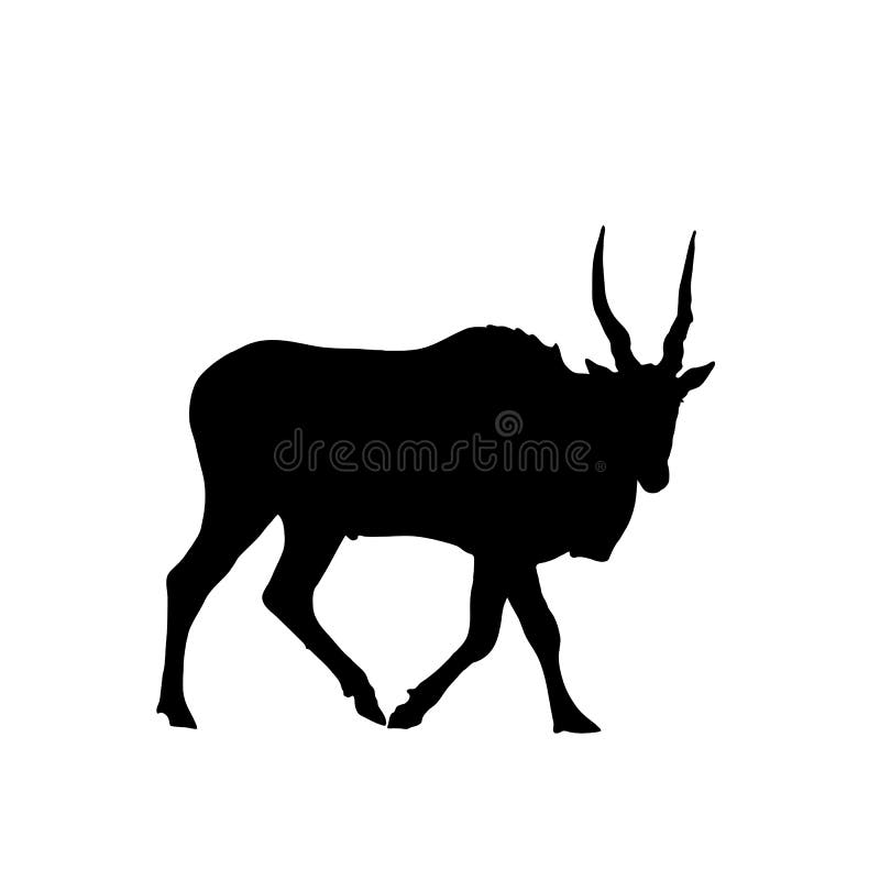 Silhouette of a Eland Antelope Stock Vector - Illustration of antelope ...