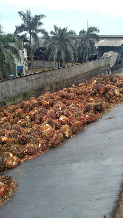 Elasies Gueniesis Jack Stasiun Loading Ramp Stock Image - Image of wood ...