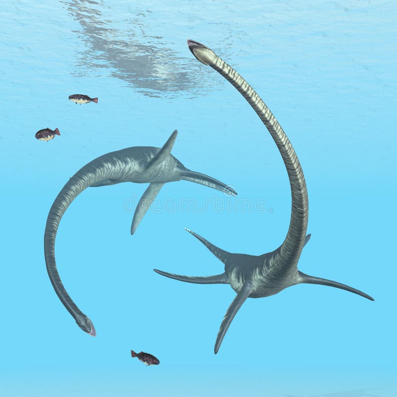 Elasmosaurus di Plesiosaur illustrazione di stock. Illustrazione di ...
