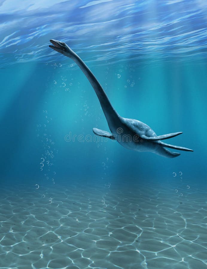 Elasmosaurus stock illustration. Illustration of ness - 9922782