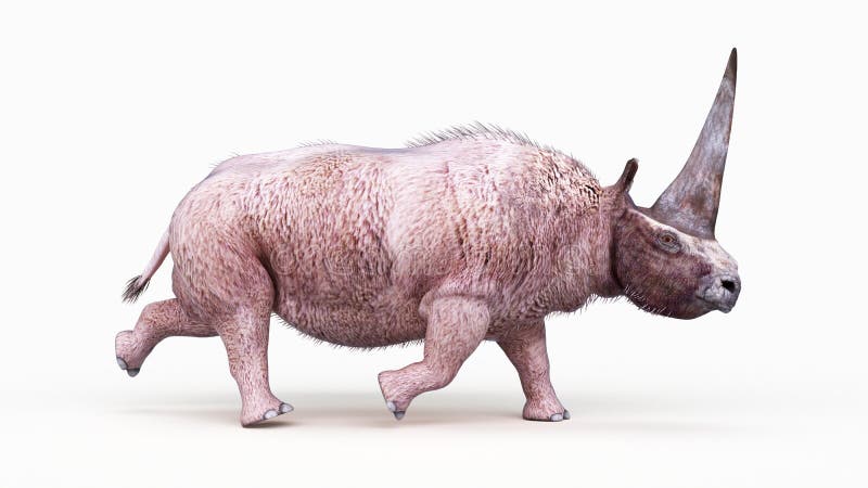 A elasmotherium stock illustration. Illustration of jurassic - 127857881