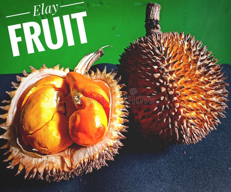 Elay Fruit Stock Photos - Free & Royalty-Free Stock Photos from Dreamstime