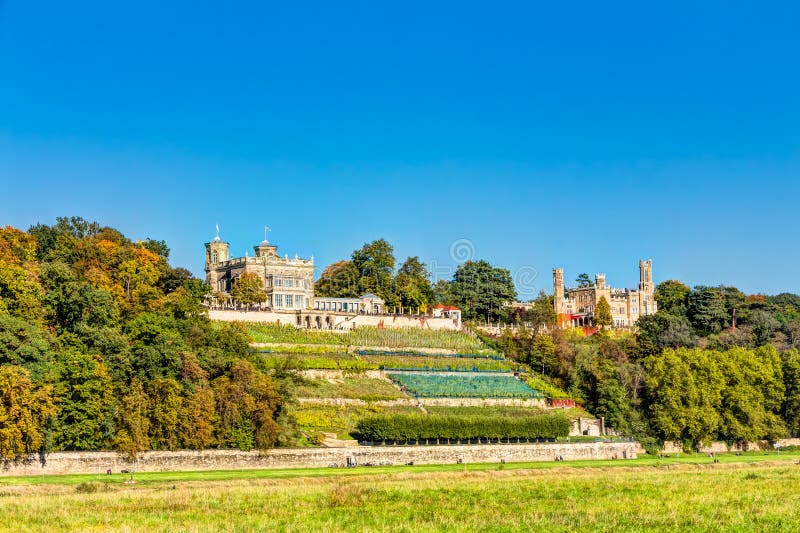 Elbe River and Valley in Dresden Stock Image - Image of place, outdoors ...