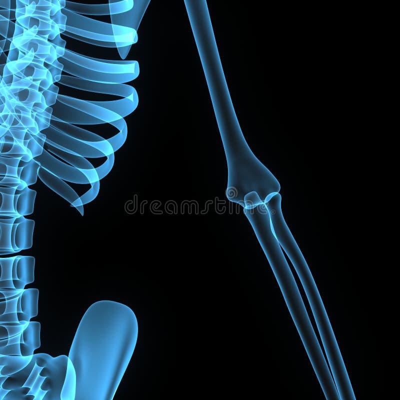 Elbow joint stock illustration. Illustration of hinge - 44728900