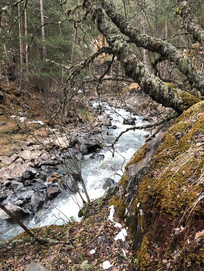 Buetiful Ice Nn Stock Photos - Free & Royalty-Free Stock Photos from ...