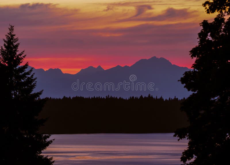 Eld Inlet Sunset stock image. Image of puget, sunset - 91524941