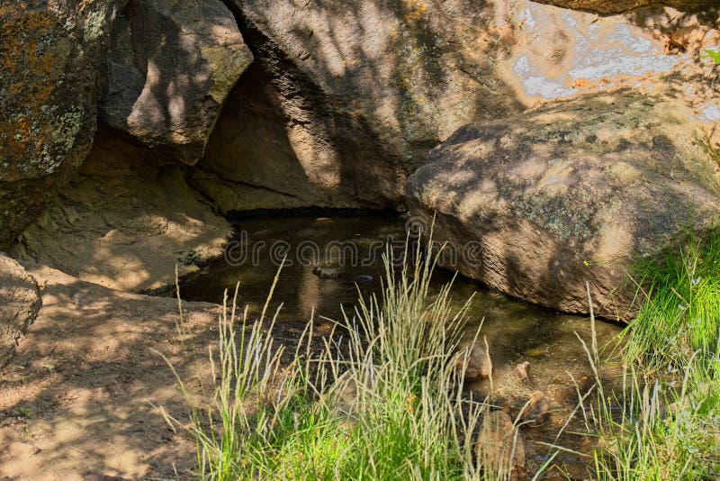 Water Seeping through a Stone Wall and Weeds Growing. Stock Image ...