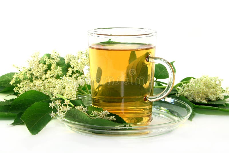 Elderflower tea stock image. Image of elderberry, mixture - 14867427