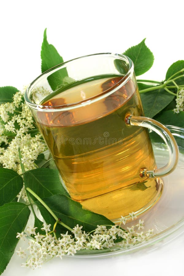 Elderflower tea stock photo. Image of umbels, diuretic - 14878940