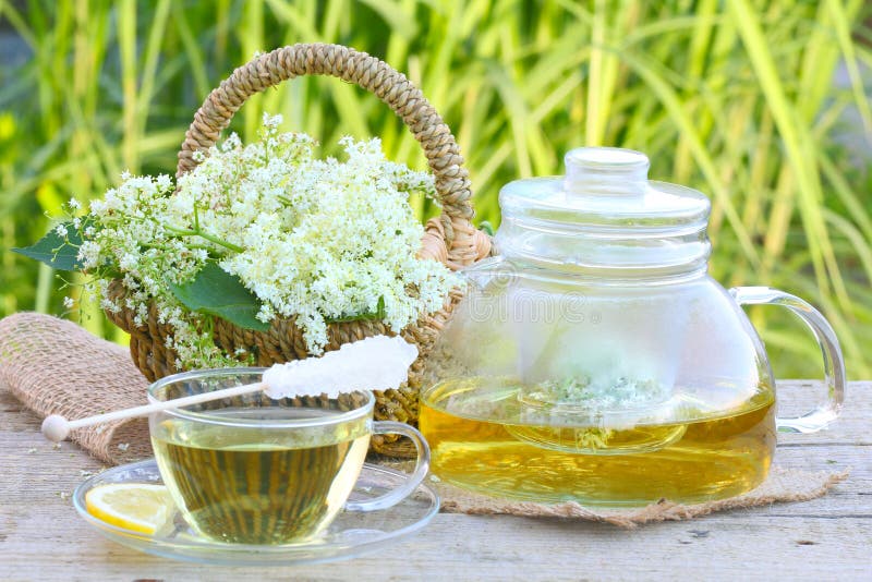 Elderflower tea, elder stock photo. Image of green, glass - 35007618