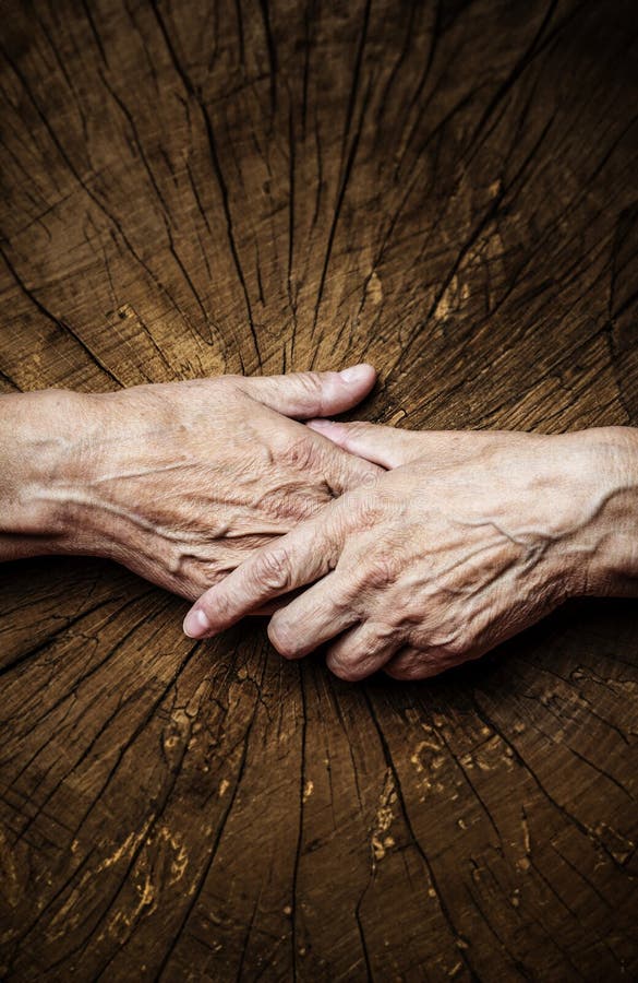 Elderly Concept - Old Hands and Old Tree Stock Photo - Image of mature ...