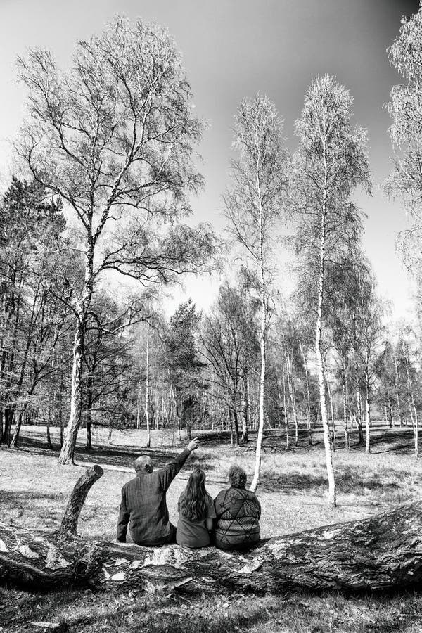 Elderly Couple and Young Caregiver Stock Image - Image of older ...