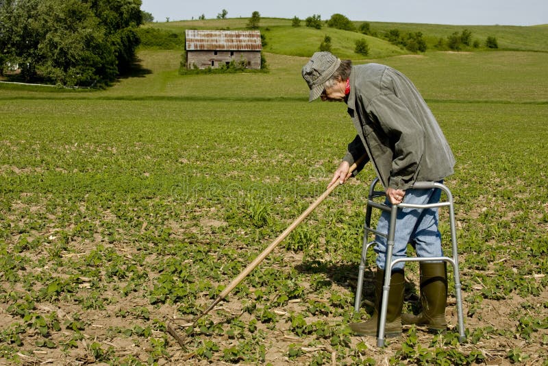Elderly farmer in walker stock image. Image of determined - 20052537