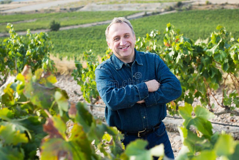 Elderly Glad Man Standing on Vineyard Stock Photo - Image of rural ...