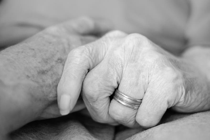 Elderly holding hands stock photo. Image of holding, closeup - 48009682