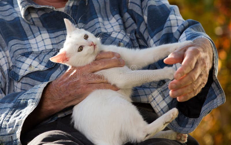 Elderly man with cat stock photo. Image of happiness - 135491136