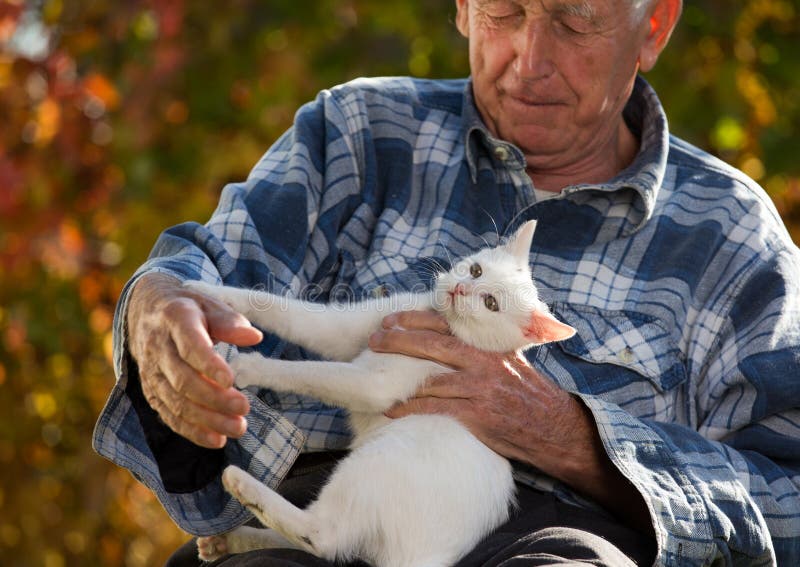 Elderly man with cat stock image. Image of mature, playing - 135491137