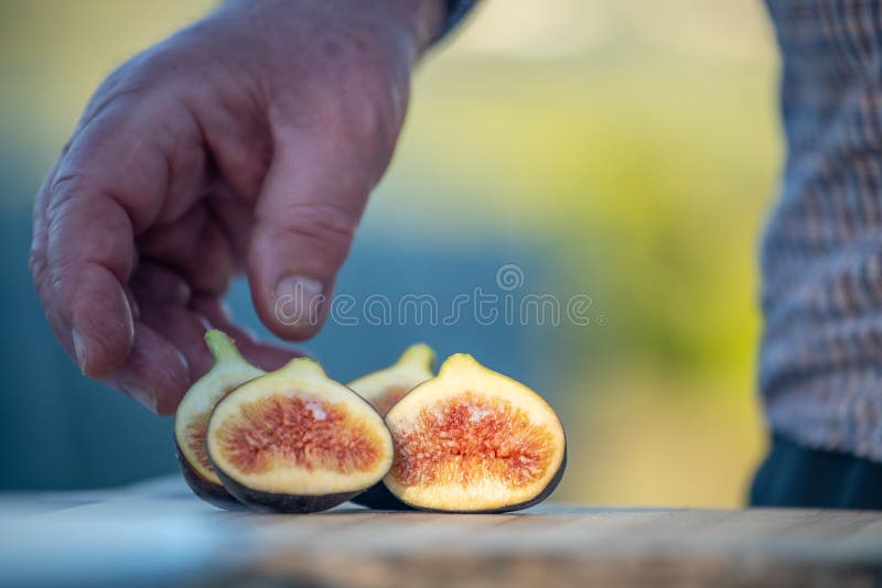 Elderly Man Cutting Figs on the Table Outdoor Stock Image - Image of ...