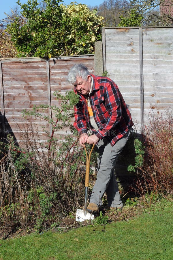 Gardening - Man Digging Over the Soil Stock Image - Image of flowerbed ...