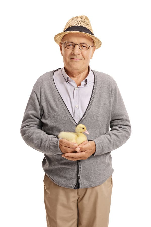 Elderly Man Holding a Duckling Stock Photo - Image of looking, adult ...