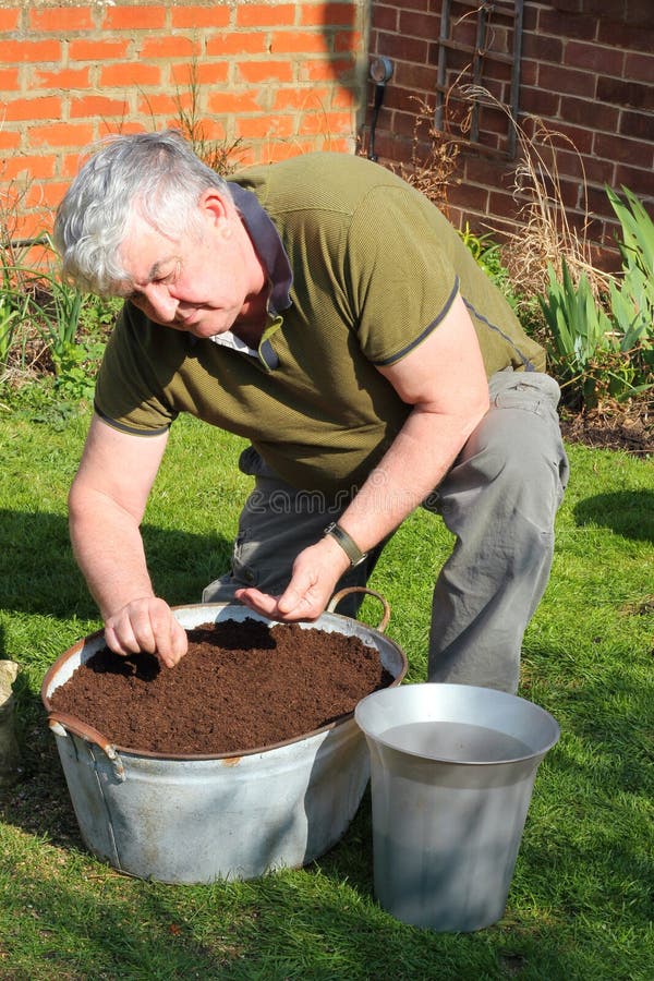 Elderly Man Sowing Seeds in Container. Stock Photo - Image of seeds ...