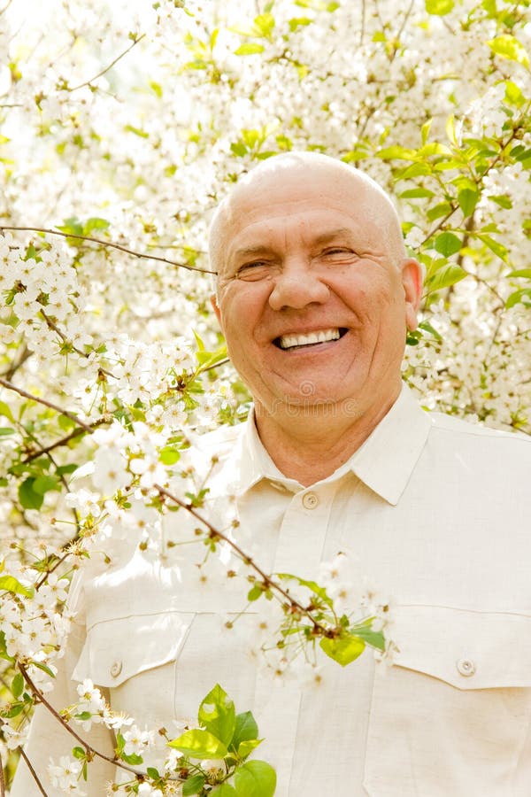 Elderly Man in Spring Garden Stock Photo - Image of beauty, shirt: 28699160