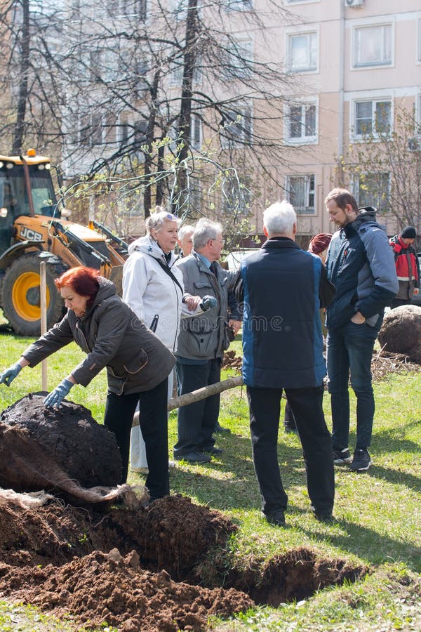 Elderly People are Planting Trees in the Yard. Editorial Photography ...