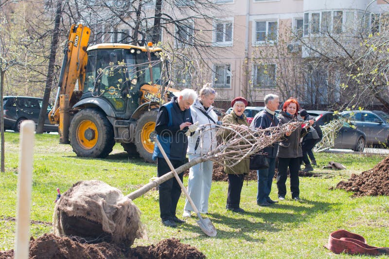 Elderly People are Planting Trees in the Yard. Editorial Photography ...