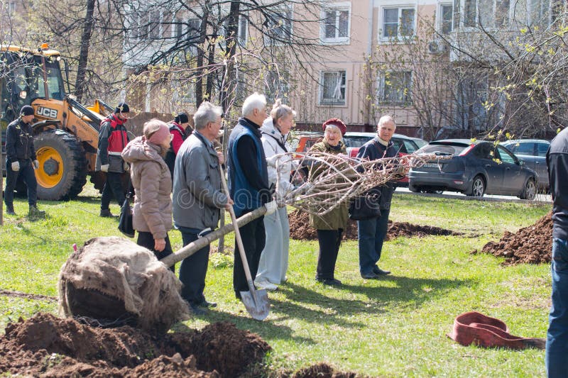 Elderly People are Planting Trees in the Yard. Editorial Stock Image ...