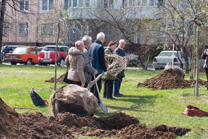 Elderly People are Planting Trees in the Yard. Editorial Image - Image ...