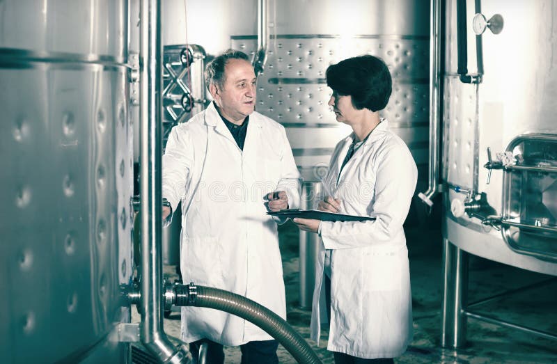 Wine Maker Controls Quality of Wine Stock Photo - Image of tasting ...