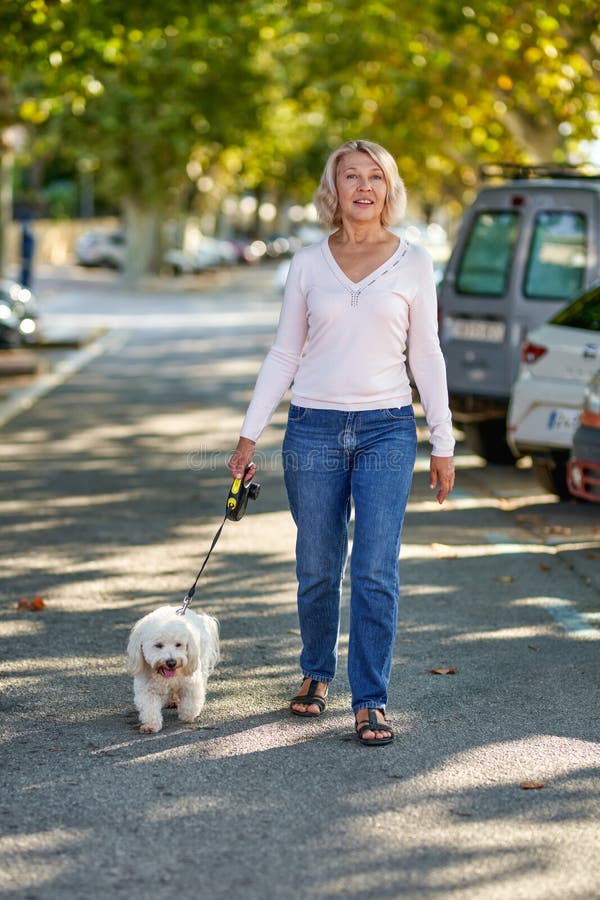 Elderly Woman Walking with a Dog Outdoors Stock Photo - Image of ...