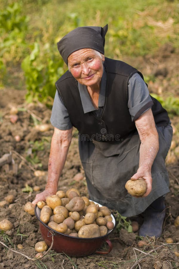 Elderly Woman Working Outdoors Stock Photo - Image of granny, garden ...
