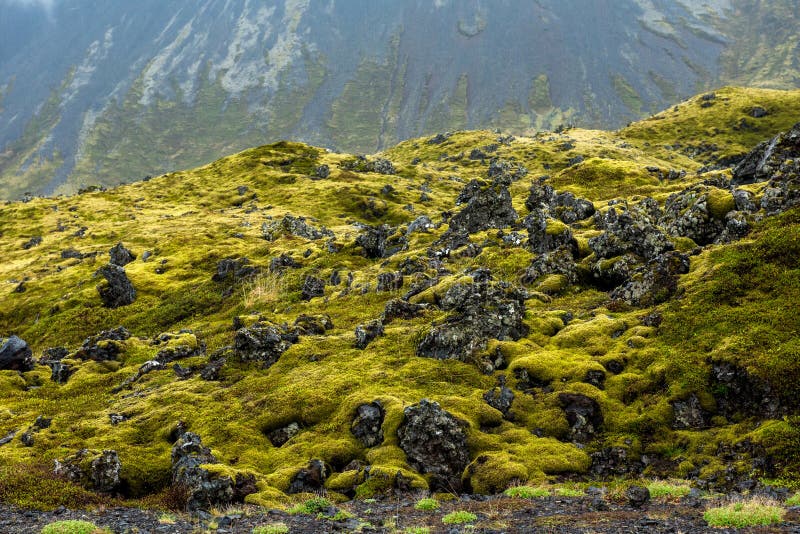 Eldhraun Lava Field in Iceland Stock Photo - Image of barren ...