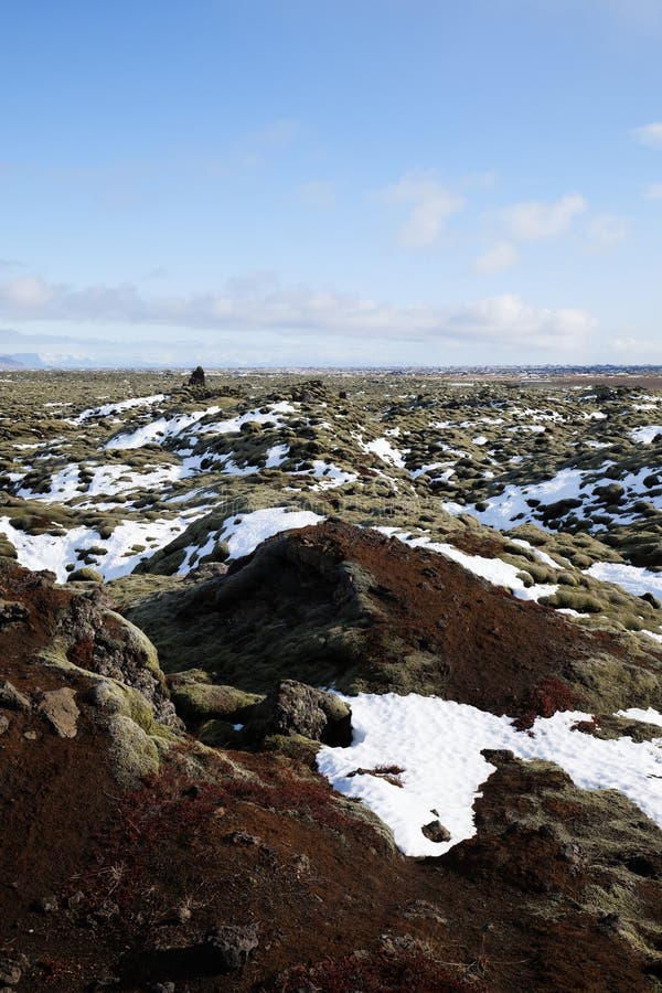 Eldhraun Lava Fields in Iceland Covered with Moss and Snow Stock Photo ...