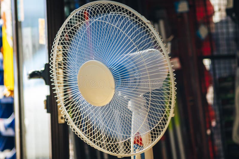 Electric Blue White Fan Rotating Stock Image - Image of lizard, basket ...